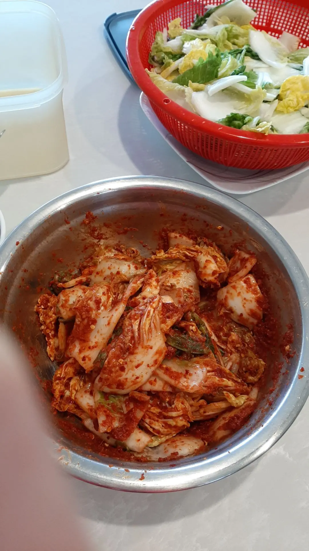 Fruit & Vegetables - An Illustrated Guide to Korean Kimchi Fermentation ...