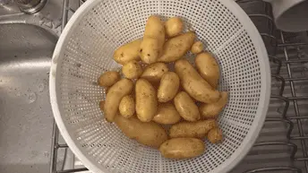 First spuds ever.... | Self Sufficient Culture