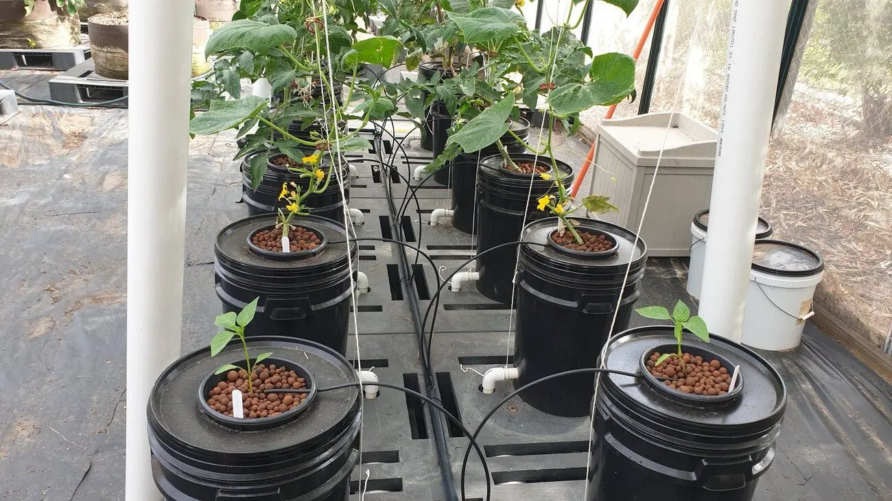 5 Gallon Bucket Hydroponics System