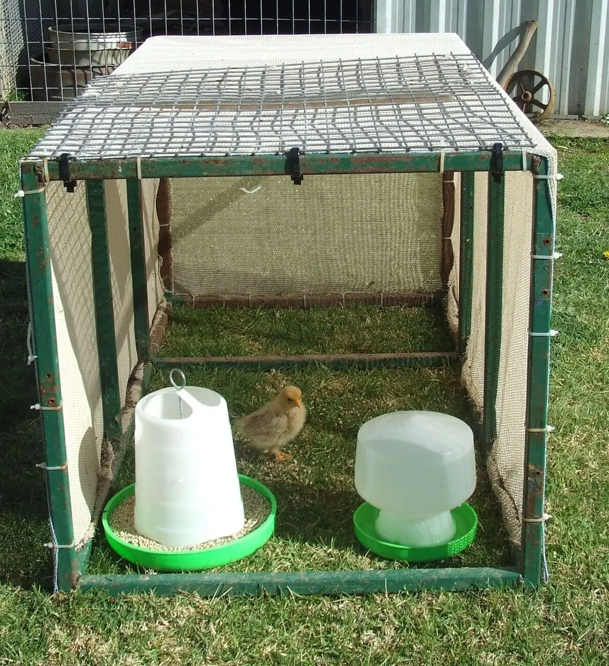 Chicken Brooders | Self Sufficient Culture