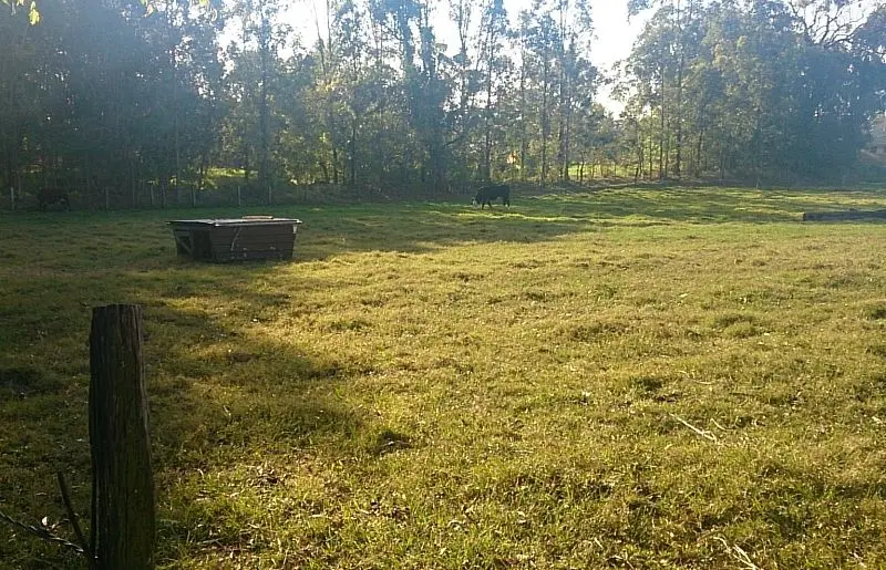 Cute and rustic chicken tractor | Self Sufficient Culture