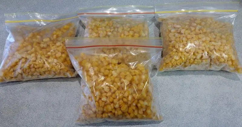 My steps to preserving corn by freezing - Self Sufficient Culture