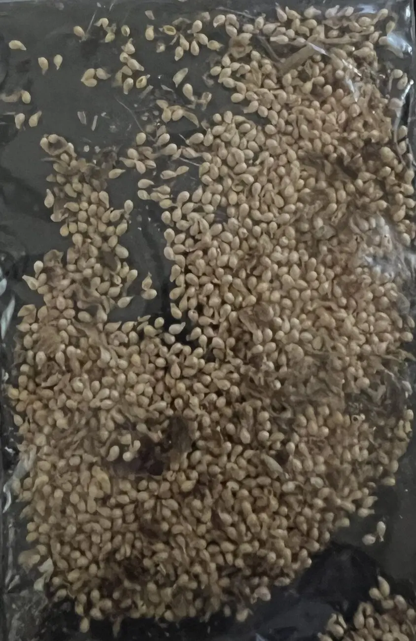 Gardening - Seed ID - Self Sufficient Culture