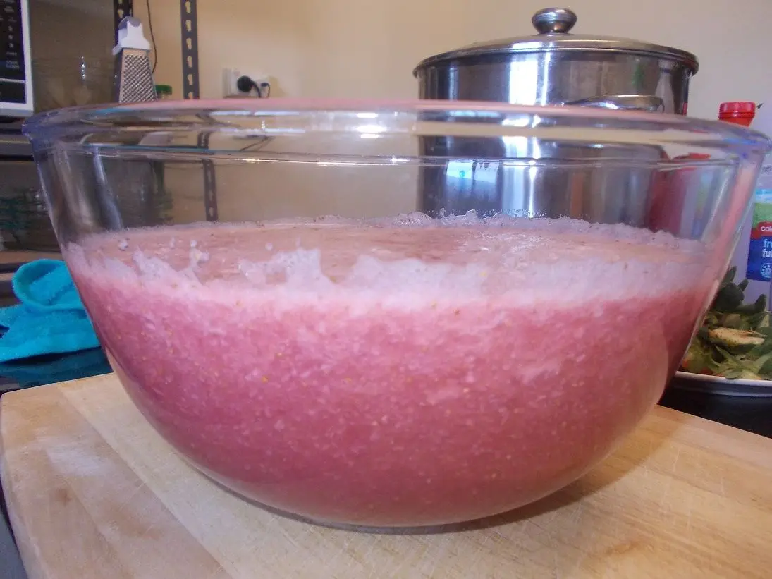 Fruit & Vegetables - Real Fruit Jelly (Jello in American) - Self ...