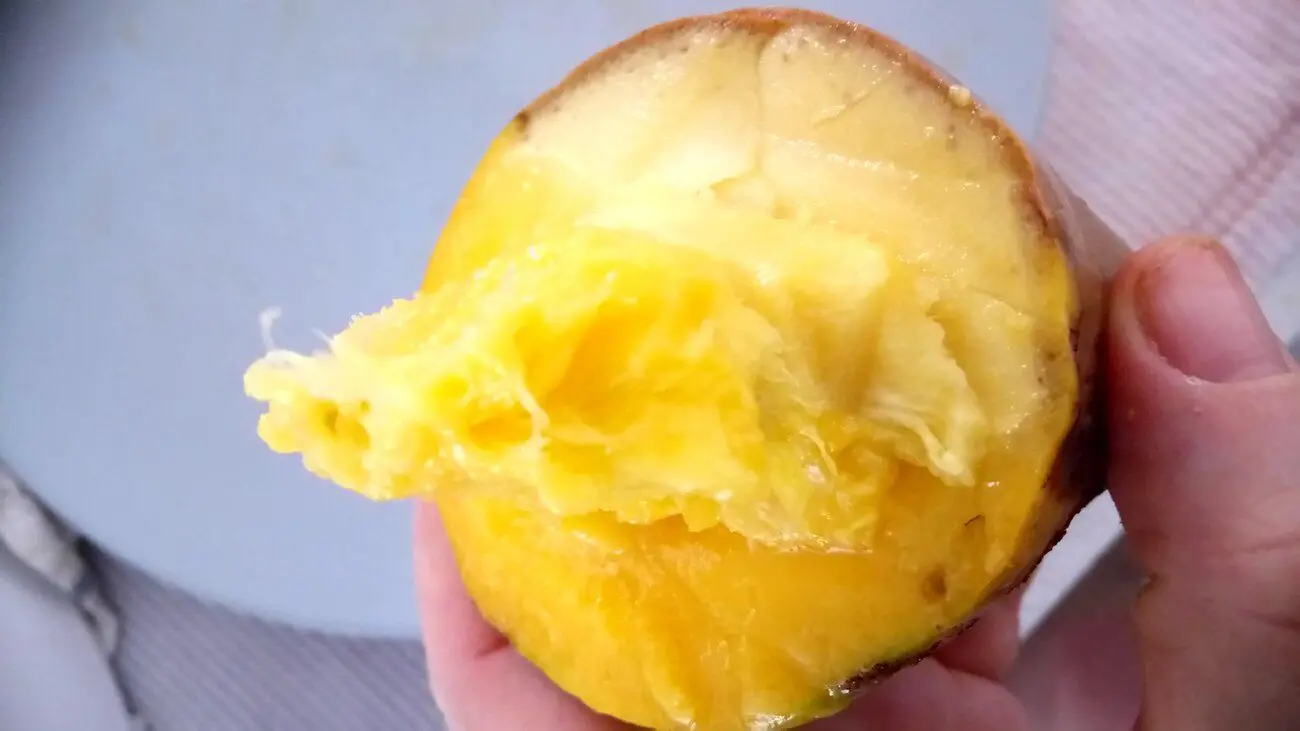 First mangoes ....sunburnt?? | Self Sufficient Culture