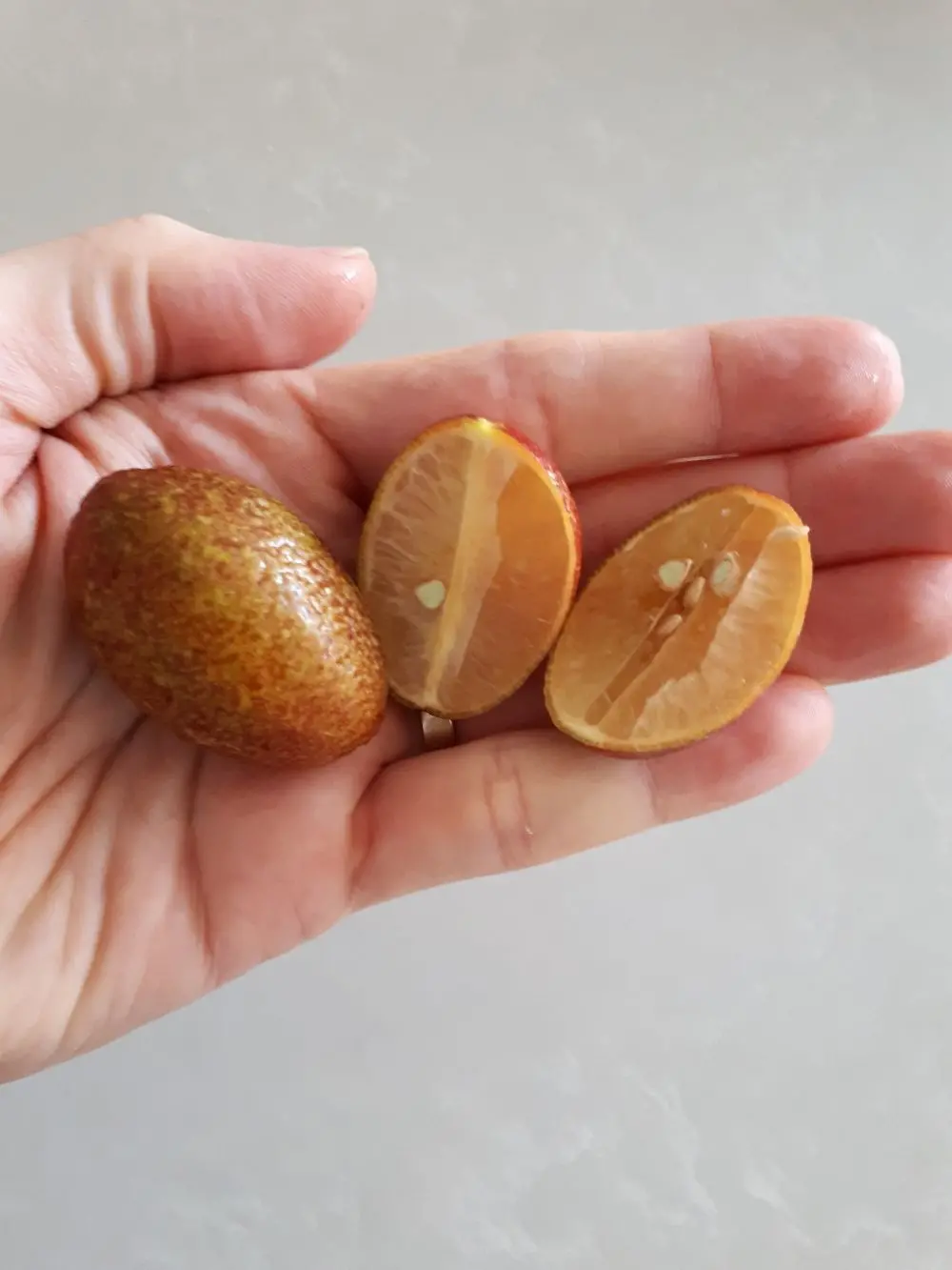 Fruit & Vegetables - Aussie Bush Tucker - An Introduction to Common ...