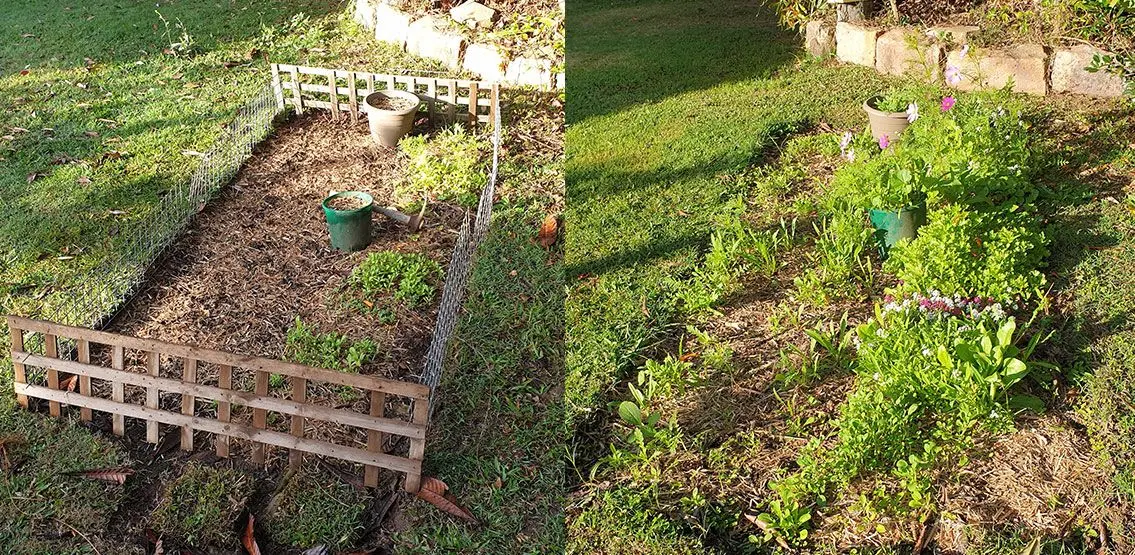 Bee Garden Challenge - Self Sufficient Culture