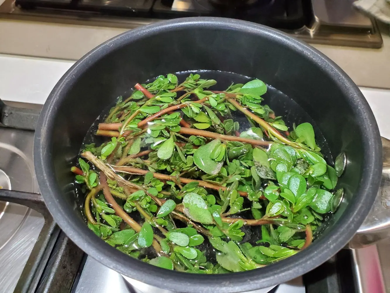 Fruit & Vegetables - A Beginners Guide to Edible Weeds | Purslane ...