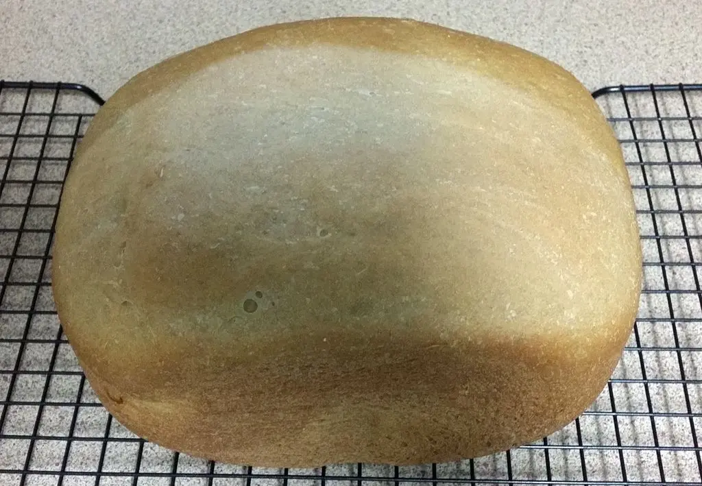My 100% Organic Spelt bread recipe - Self Sufficient Culture