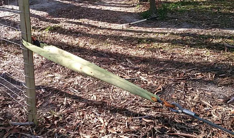 Dog proof fence for free-range chicken/poultry paddock | Page 2 | Self ...